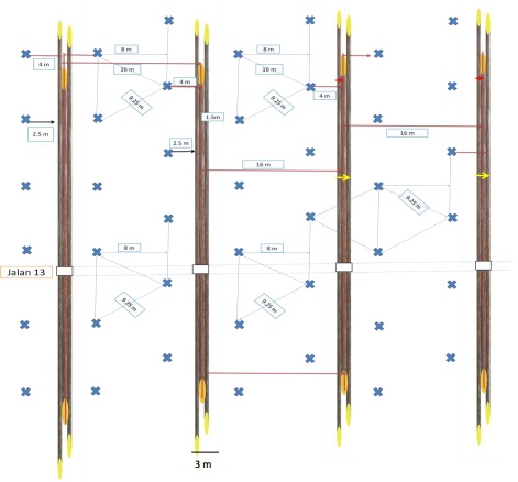 PALM OIL ATAU KELAPA SAWIT: PEMBUKAAN LAHAN BARU KELAPA SAWIT