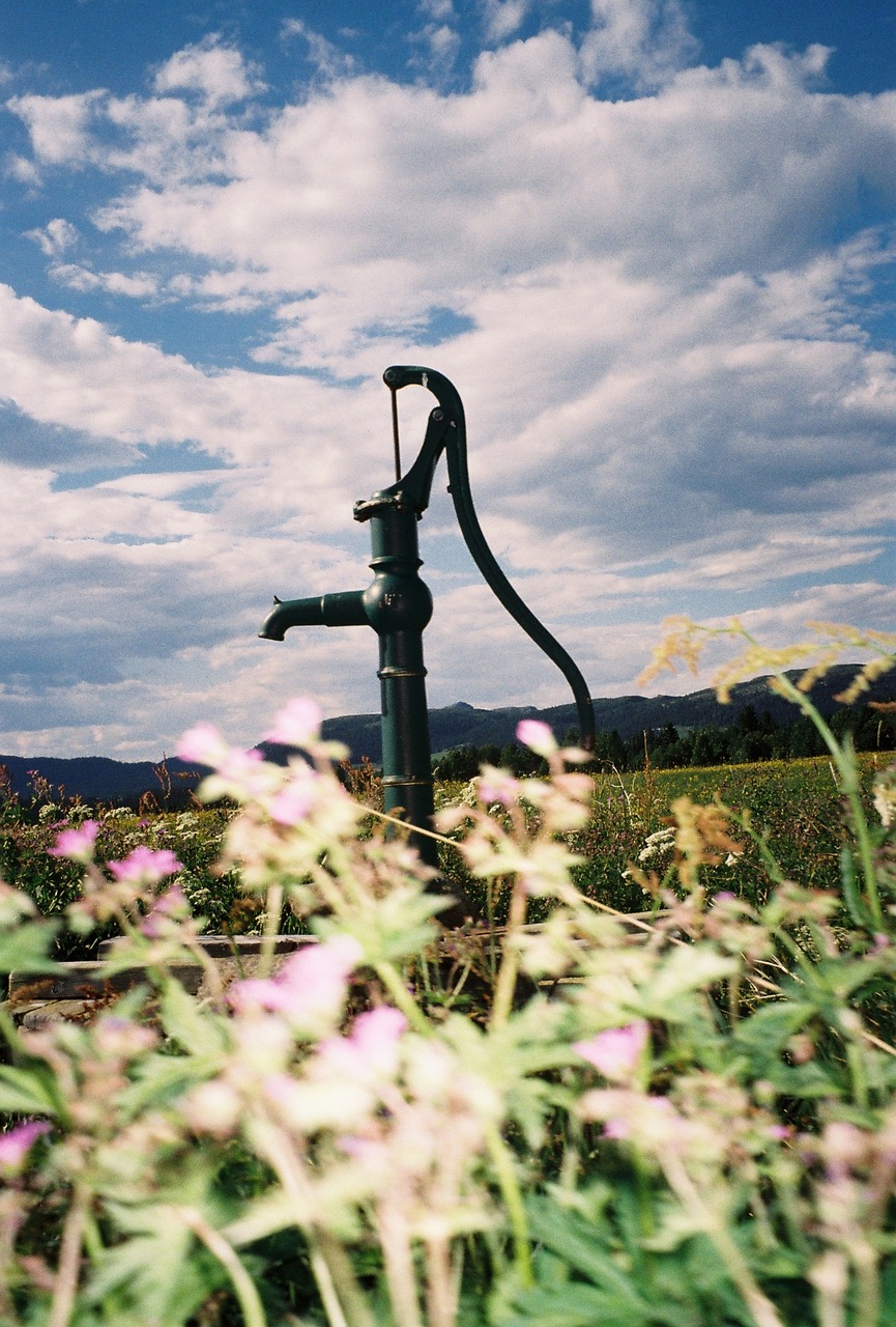 Dissolving Film: "isolation & infinity” by Zelda Solomon