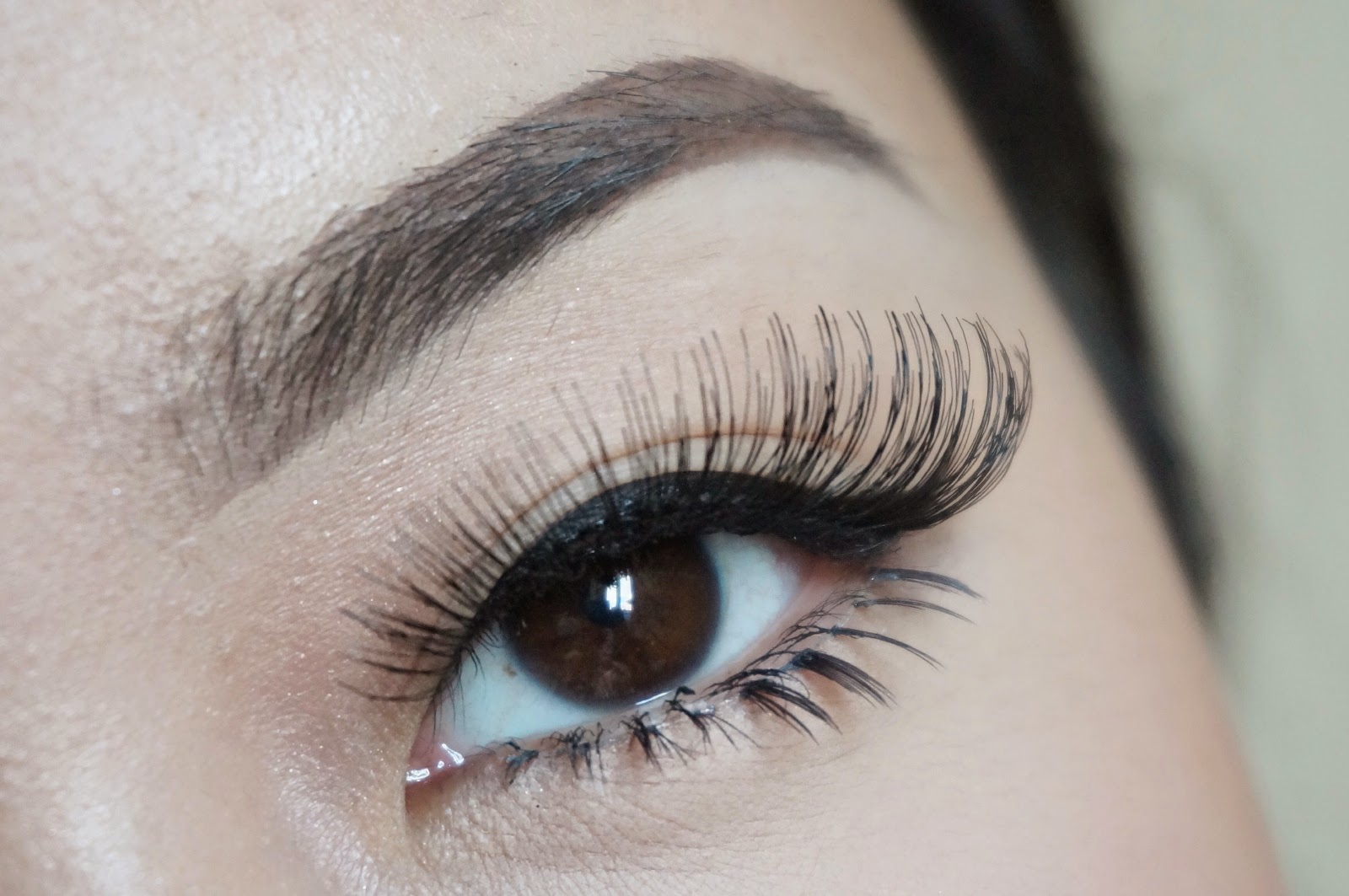 yokoxbeauty: socialeyes lashes review