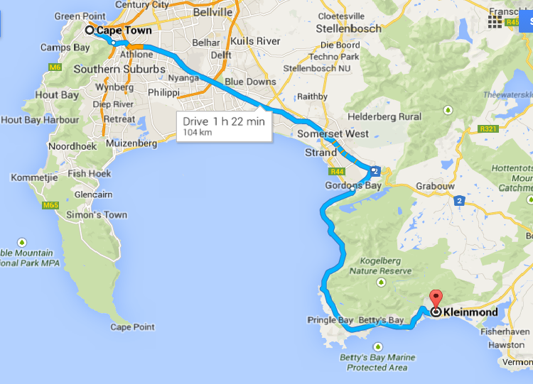 It's Where Things Happen.: Braai's and Penguin Love in Kleinmond, South ...