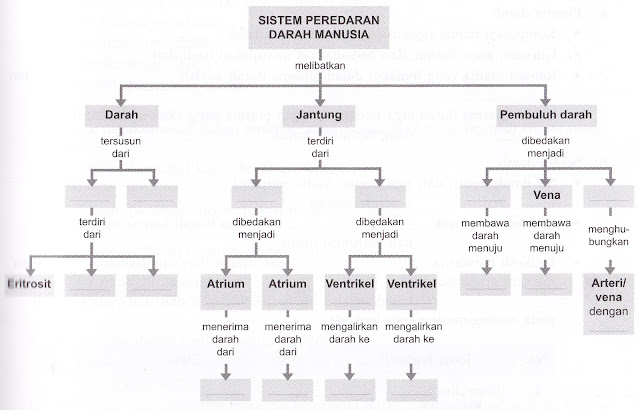 REMARKABLE OF BIOLOGY: Peta Konsep : Struktur dan Fungsi Tulang, Otot ... REMARKABLE OF BIOLOGY: Peta Konsep : Struktur dan Fungsi Tulang, Otot ...
