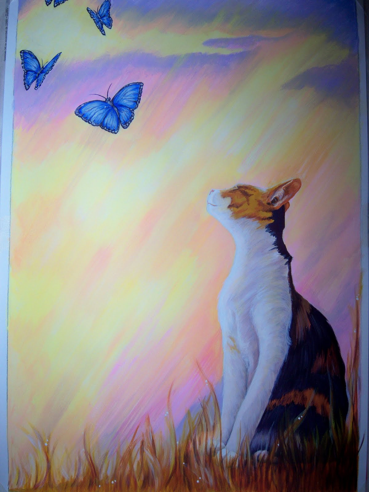 Ilustraciones y Diseño de Personajes: Pintura libre con témperas