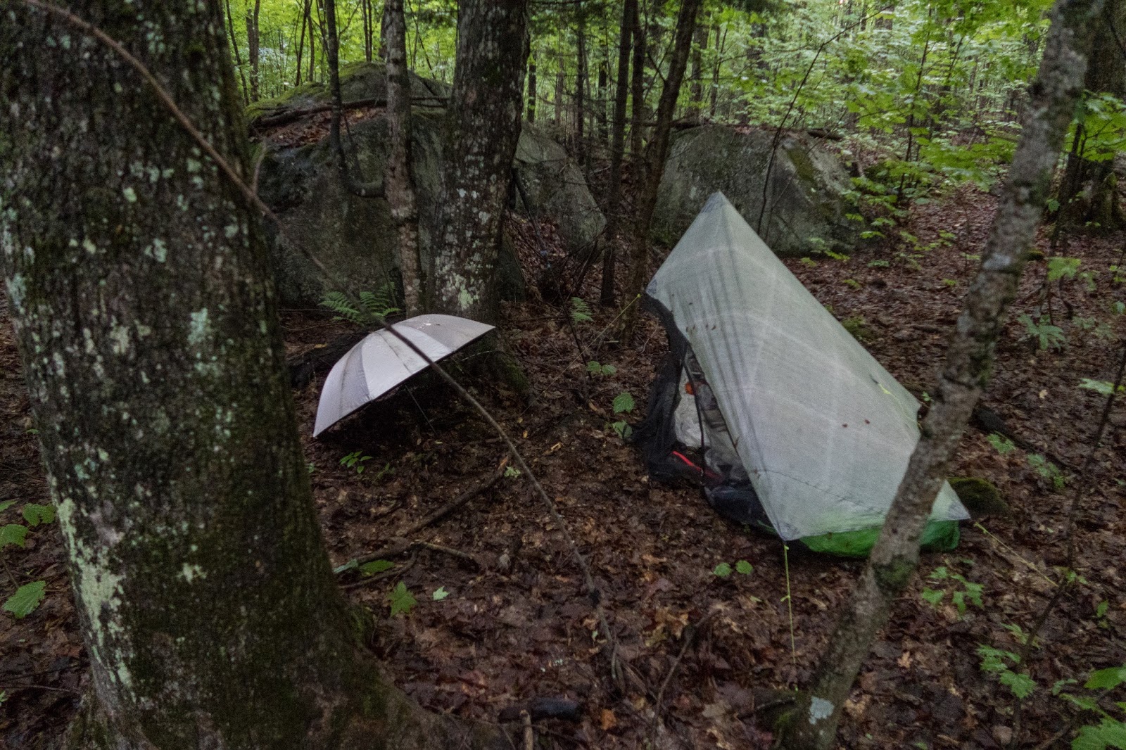 Eric's Hikes: Voyageur Trail: Harmony and Stokely Trails