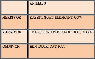 Animals Eat Different Food