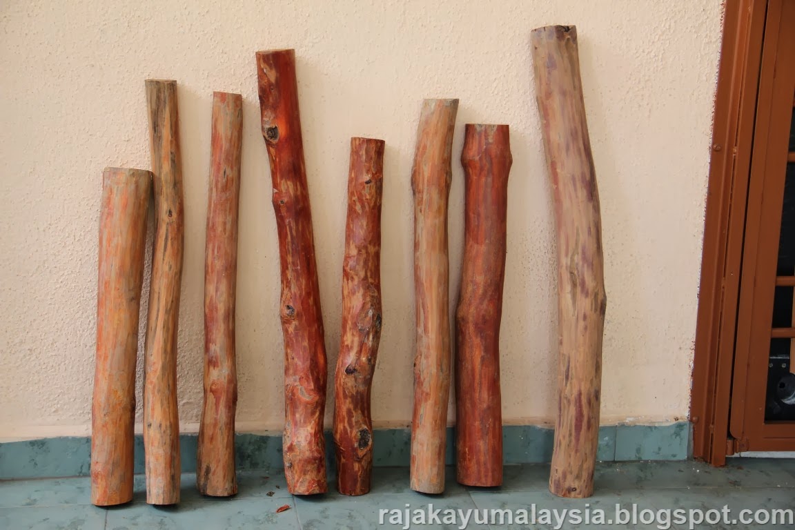 Raja Kayu Malaysia: Raja Kayu