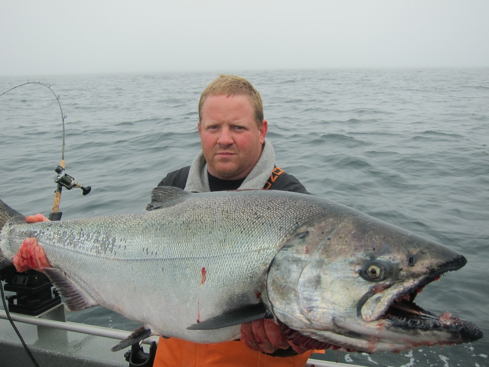 Todds Extreme Fishing: Hot salmon fishing at Westport!