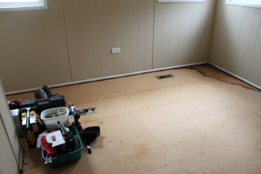 Miss Phoebe's Perch: First glimpse of Birdsong Cottage makeover...