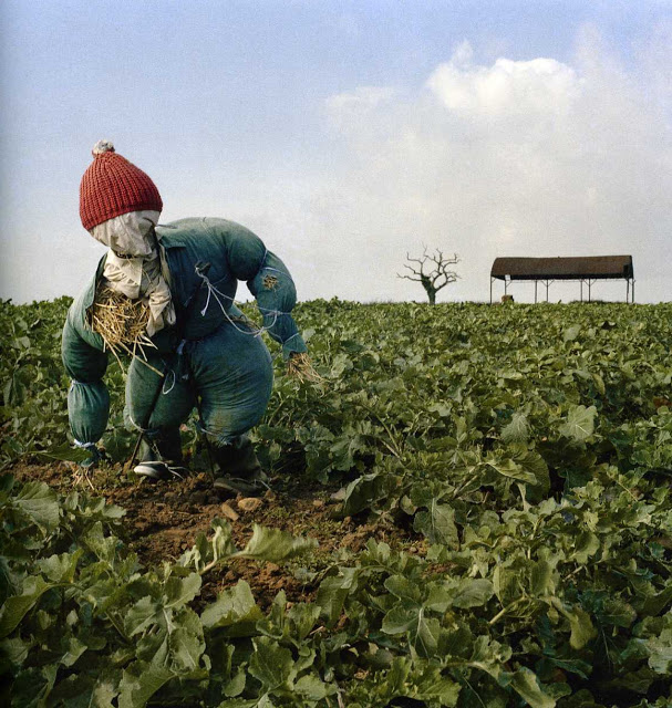 bensozia: Peter Mitchell's Scarecrows