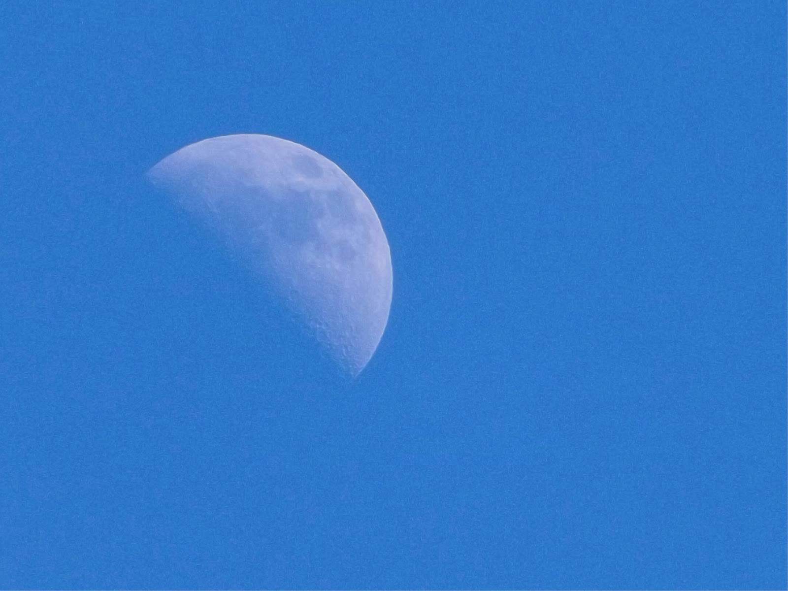 Skywatch Friday Full And Midday Moon