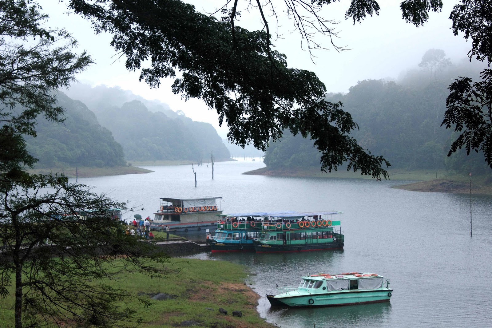 Photologue...: Exploring Periyar from Thekkady