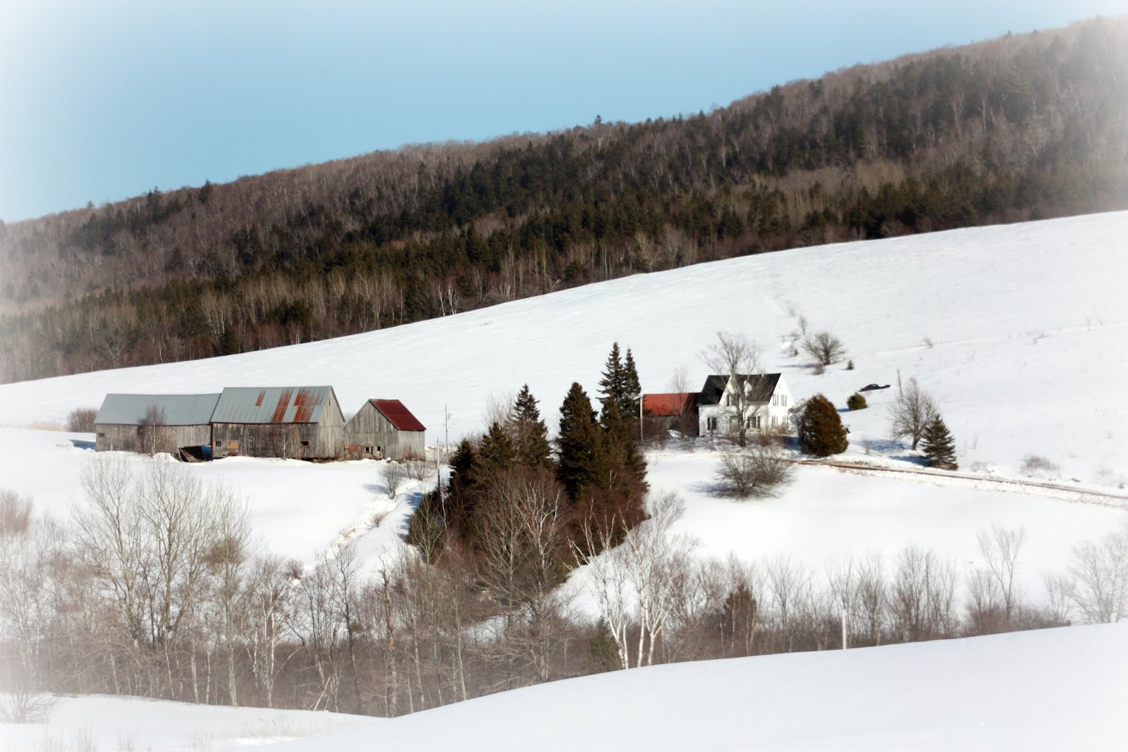 Carol Steel: Albert County, NB