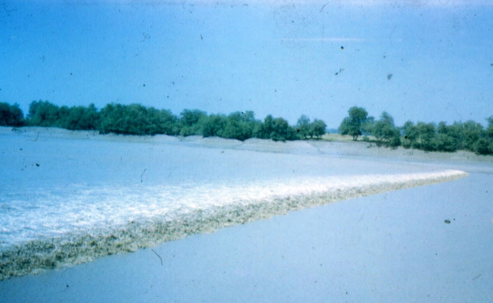 Luís Graça & Camaradas da Guiné: Guiné 63/74 - P14800: Memória dos ...