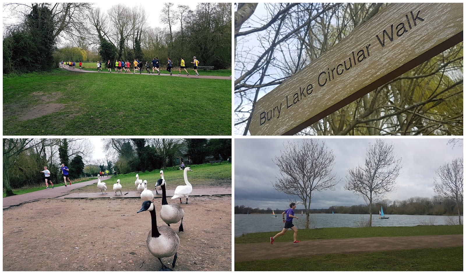 blog7t: Rickmansworth parkrun