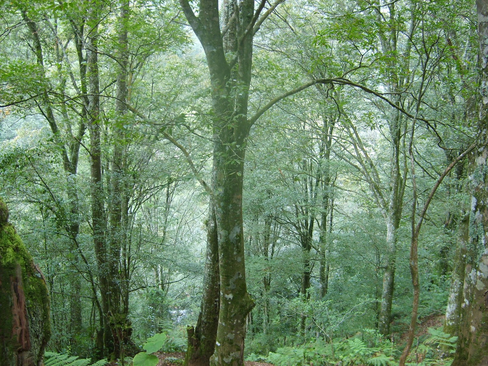 Una Rebanada de Geografía: Regiones Naturales