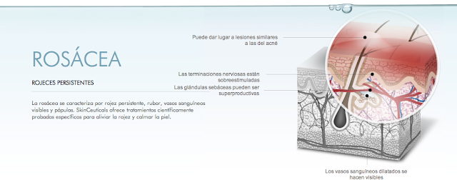 Barcelona Apothecary: Rosácea y Redness Neutralizer de Skinceuticals