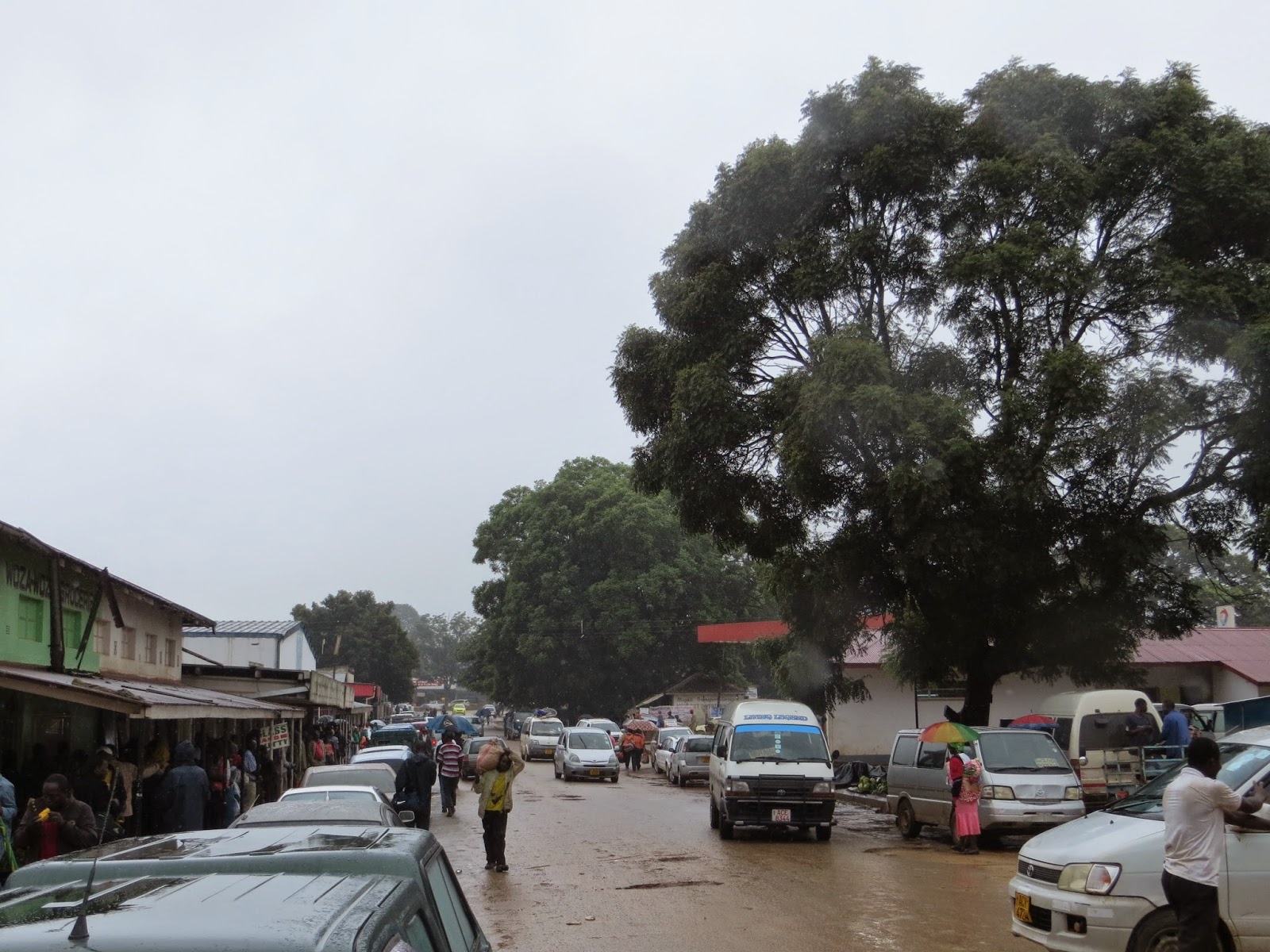 WOBBLS around Zimbabwe - A journey of rediscovery: Blog 5 Chipinge Chiredzi