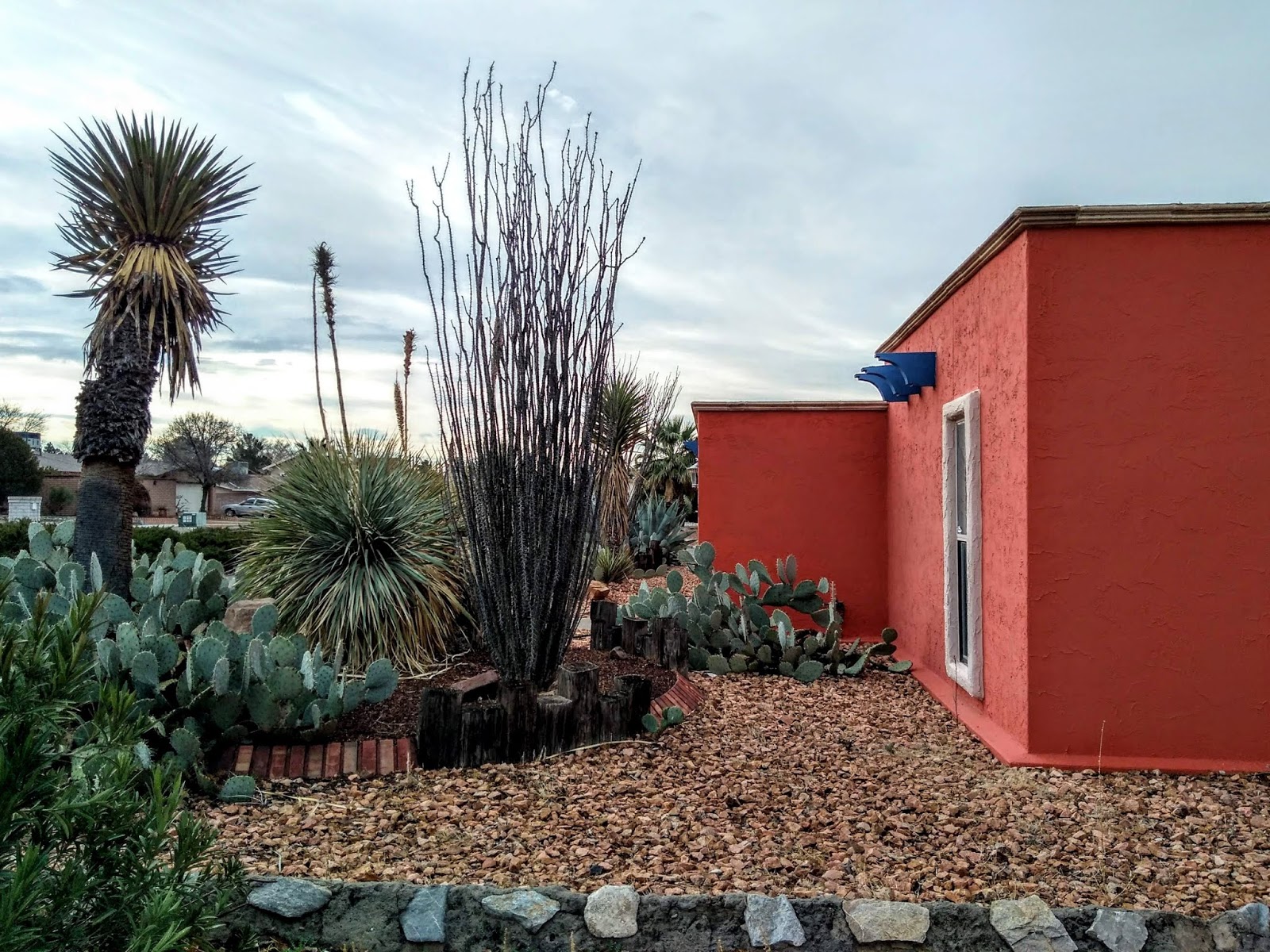 Living Rootless: El Paso 2019: Temporary Home