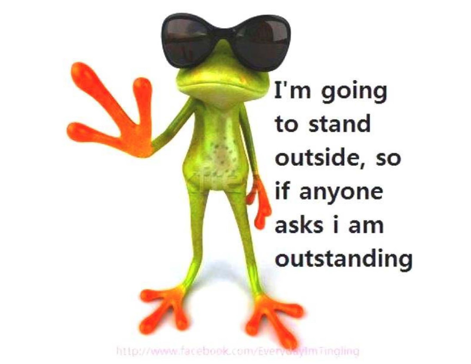 Frogs And Quotes About Reading. QuotesGram