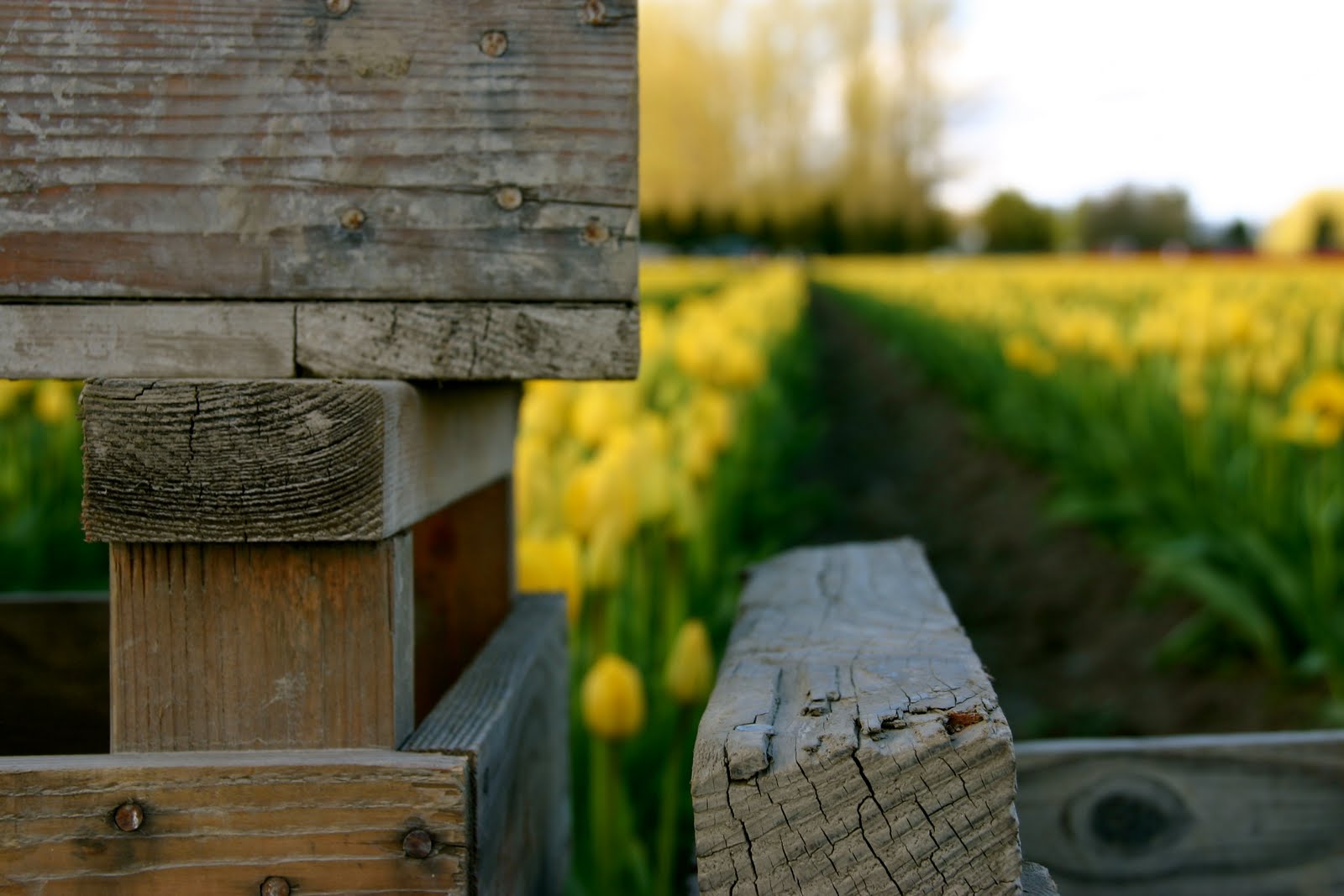 101 Uses for a Cardboard Box: Spring Refresh