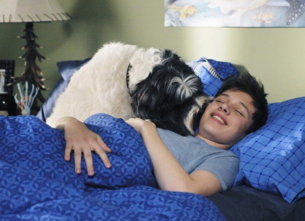 El blog de los sueños: AMIenemigos