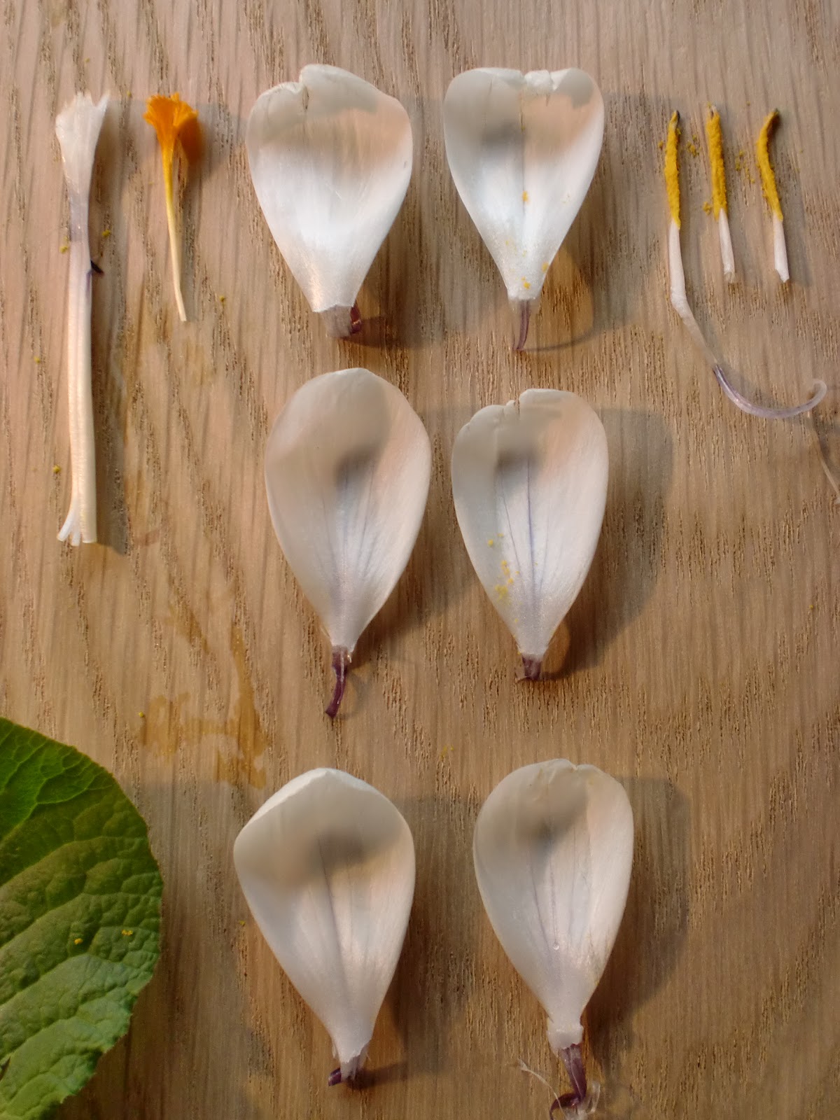 Daisy Waite: April 2012