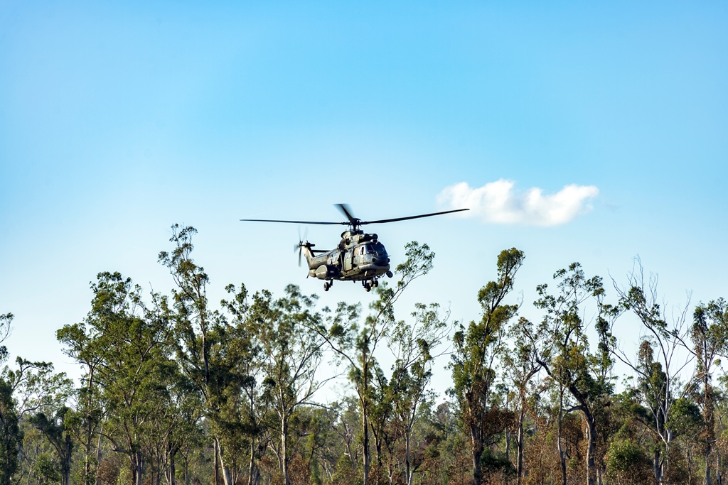 Central Queensland Plane Spotting: A Report and Photos from The ...