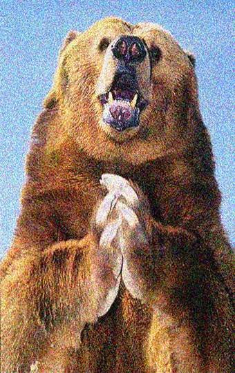 Albert's Sermon Illustrations: Preaching To Bears