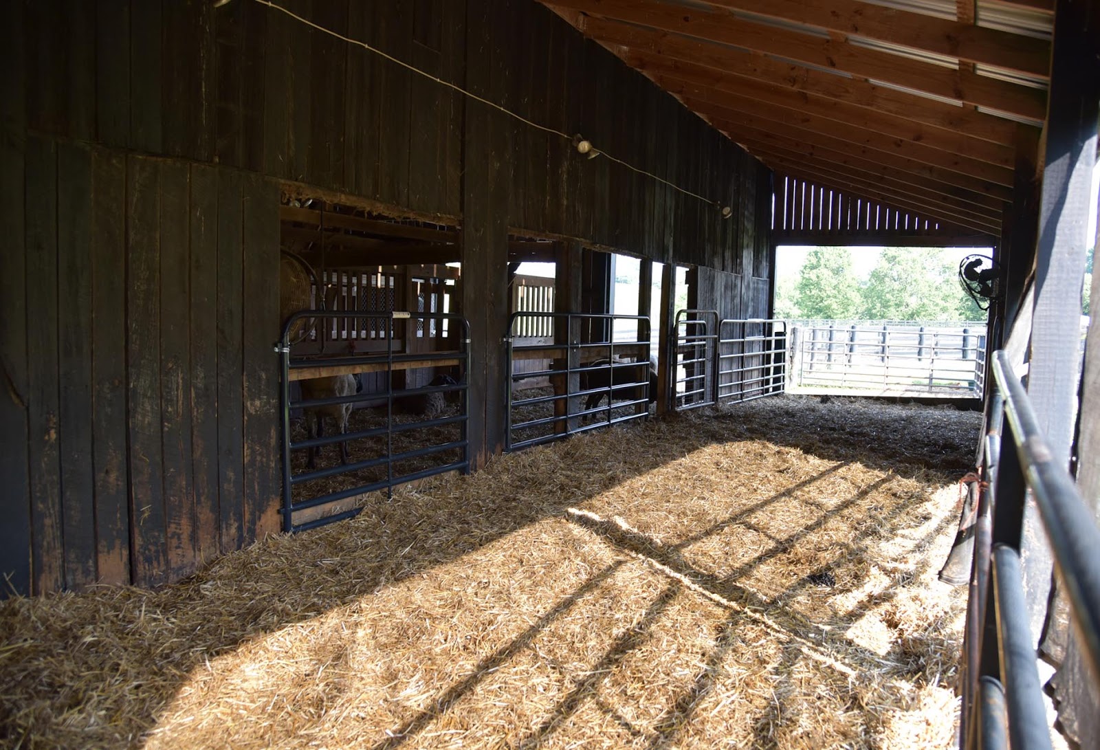 Punkin's Patch: Tour de Barn