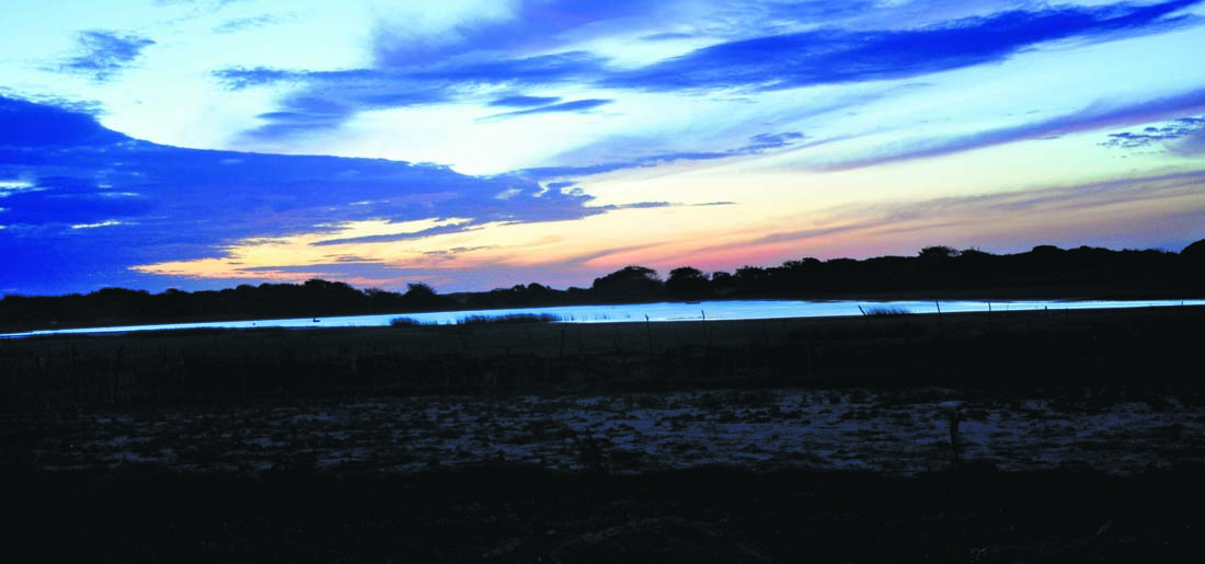 Paanama: unique, other-worldly and elusive ~ Malinda Words