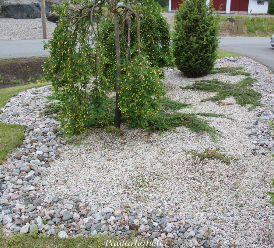 Kukkivia pensaita ja vähän muutakin | Puutarhahetki - suurien unelmien ...