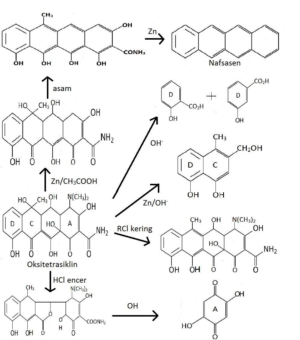 NAY blog's: biosintesis tetrasiklin