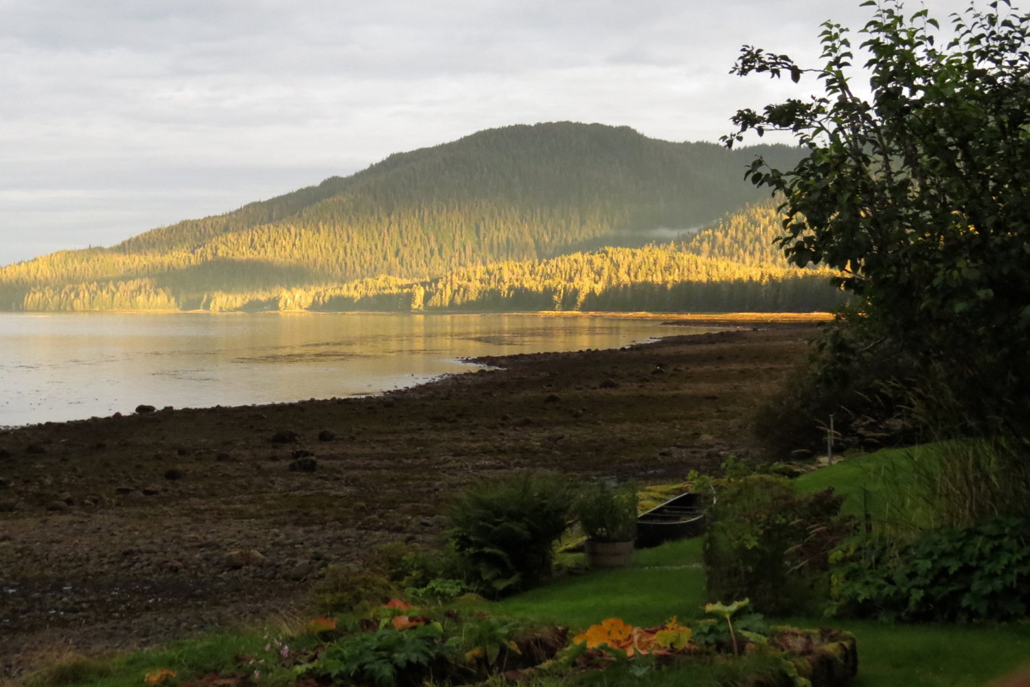 Alaska and Beyond Through Artists' Eyes: The Wilds of Alaska in Our ...