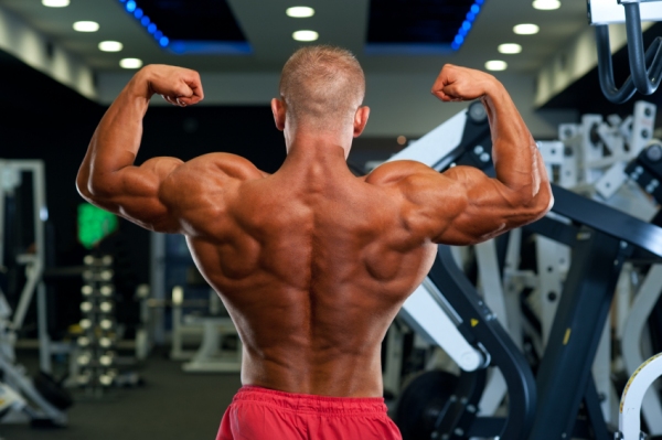 3 exercices efficaces pour se muscler le dos Methode De Musculation