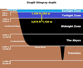 Real Monstrosities: Sixgill Stingray