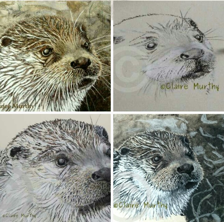 Wildlife Drawing Classes