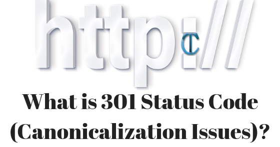 What is 301 Status Code (Canonicalization Issues)? - .Net Core | MVC ...