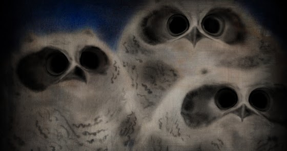 Phantoms and Monsters - Real Eyewitness Cryptid Encounter Reports