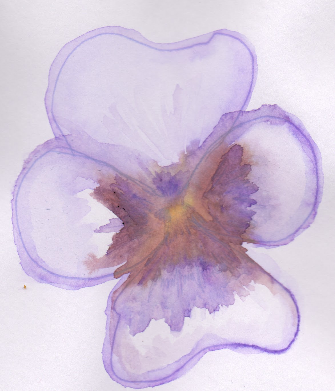 Aimée Jane Howlett: Observational flowers