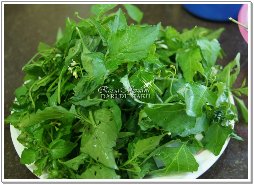 Dari DuniaKu...: Sayur Bening Pucuk Meranti