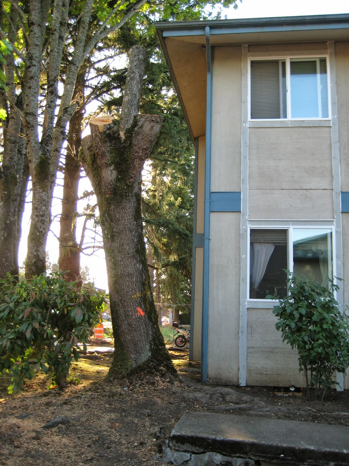 Gardening by the Inch