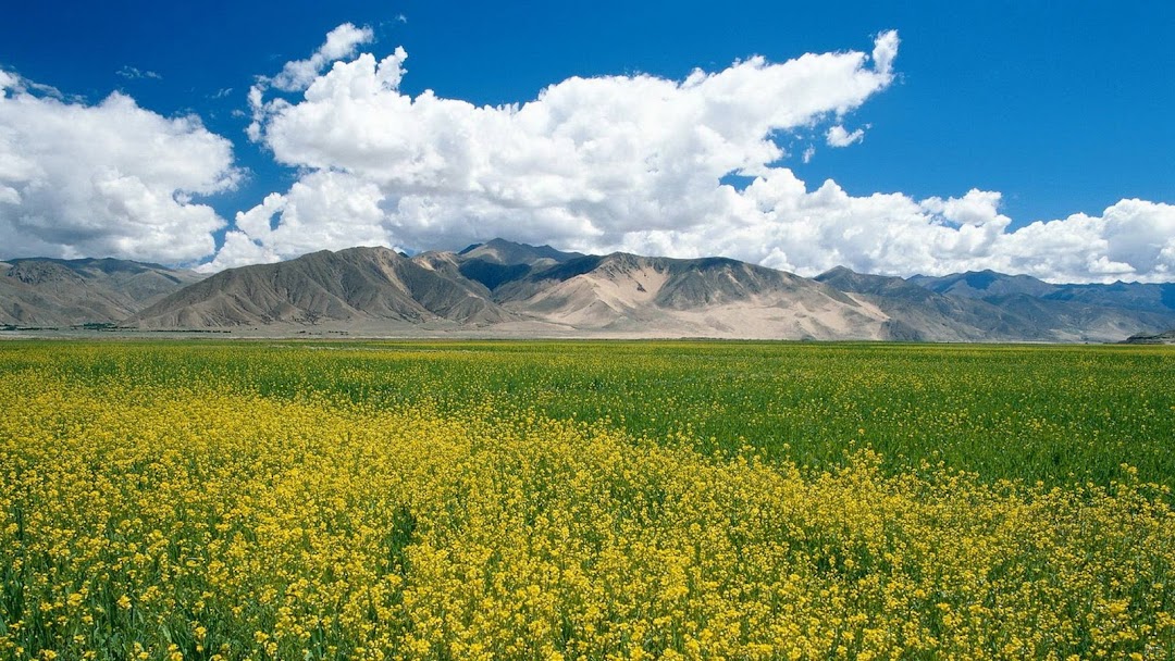 Nature HD Wallpapers