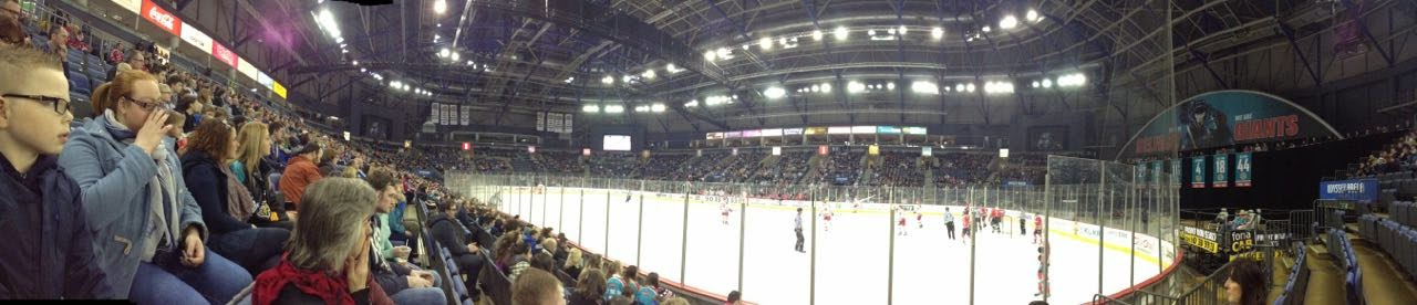 Alan in Belfast: Alan's 16-point newbie guide to the Belfast Giants