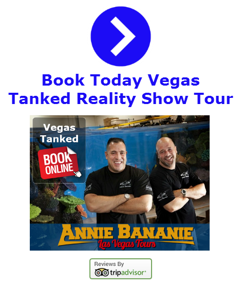 Vegas Tanked