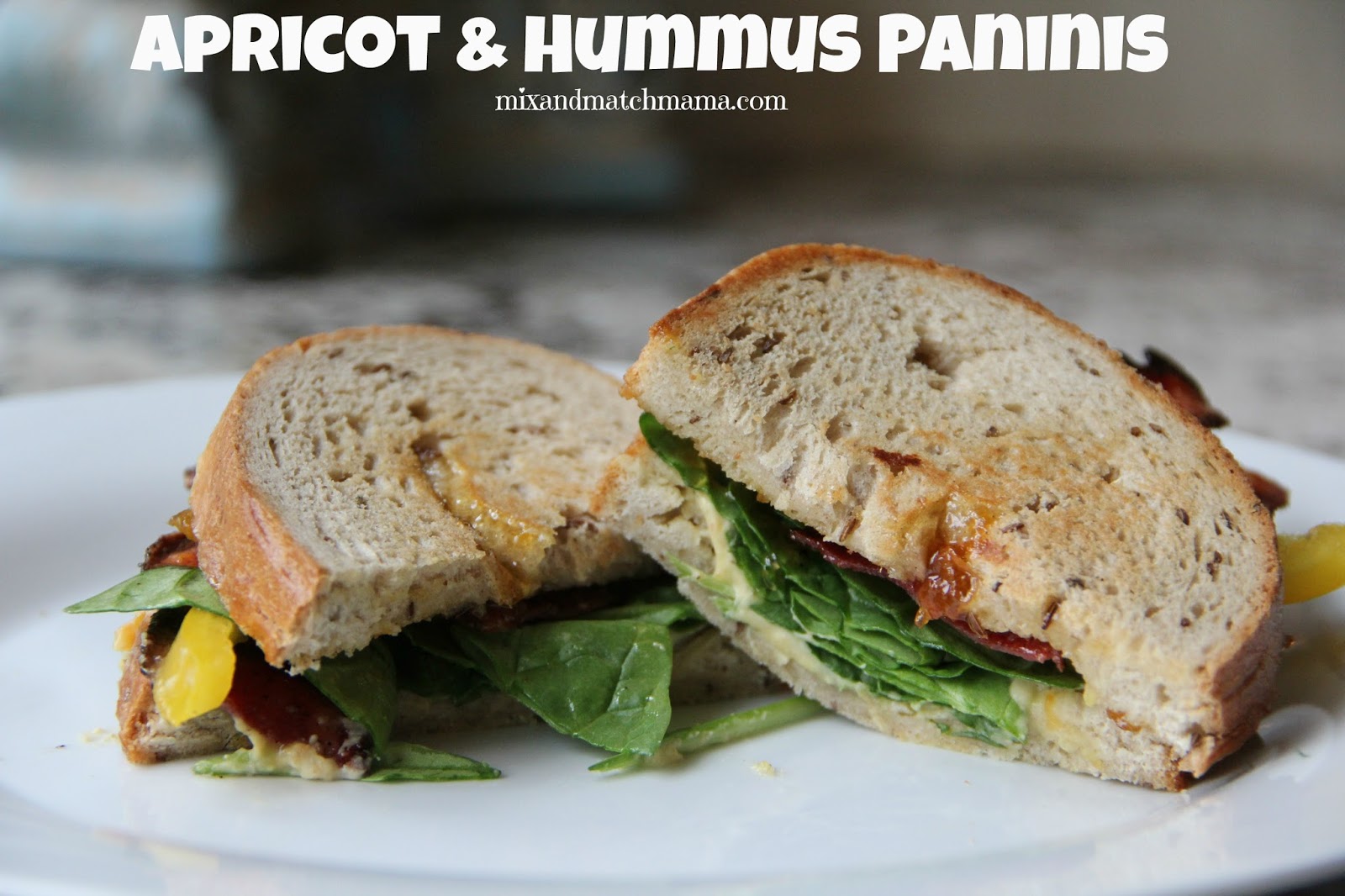 Apricot & Hummus Panini Recipe | Mix and Match Mama