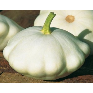 La cuisine de Jaja: Gratin de pâtisson blanc