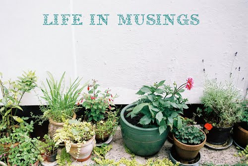 Life in Musings