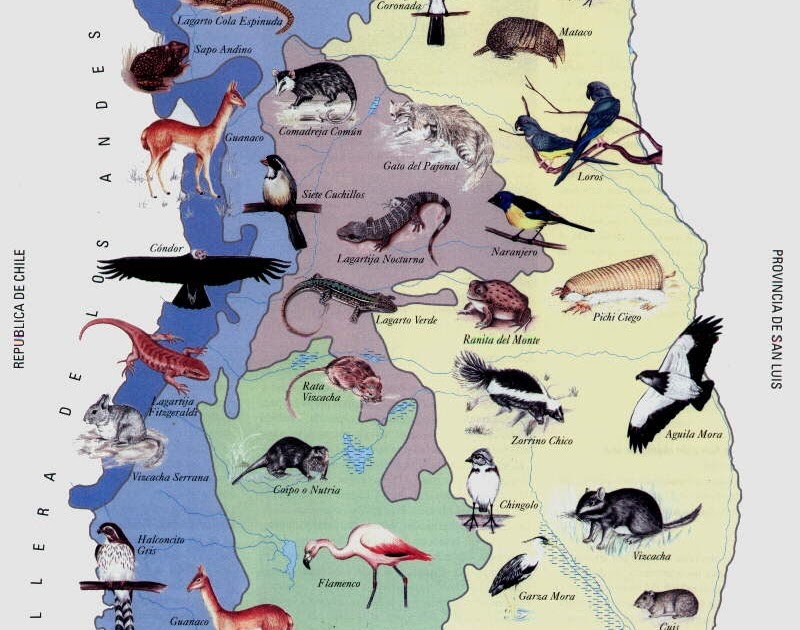 Mendoza y su Biodiversidad: BIODIVERSIDAD AUTÓCTONA EN PELIGRO