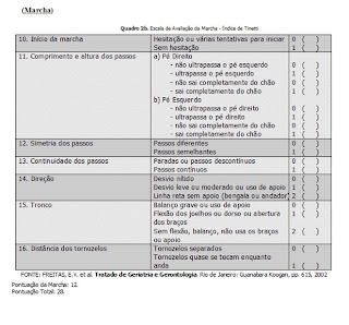 Inter Ergo - O Blog da Fisioterapia!: ÍNDICE DE TINETTI - ESCALA DE ...