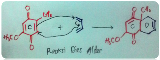 Journey: Sintesis Organik