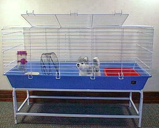 Lovely Cute Pets: Appropriate Guinea Pig Cages